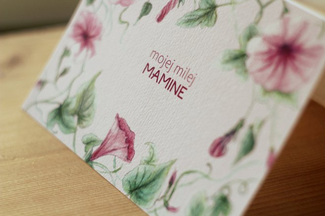 Botanické inšpirácie / Kruzlica / SAShE.sk