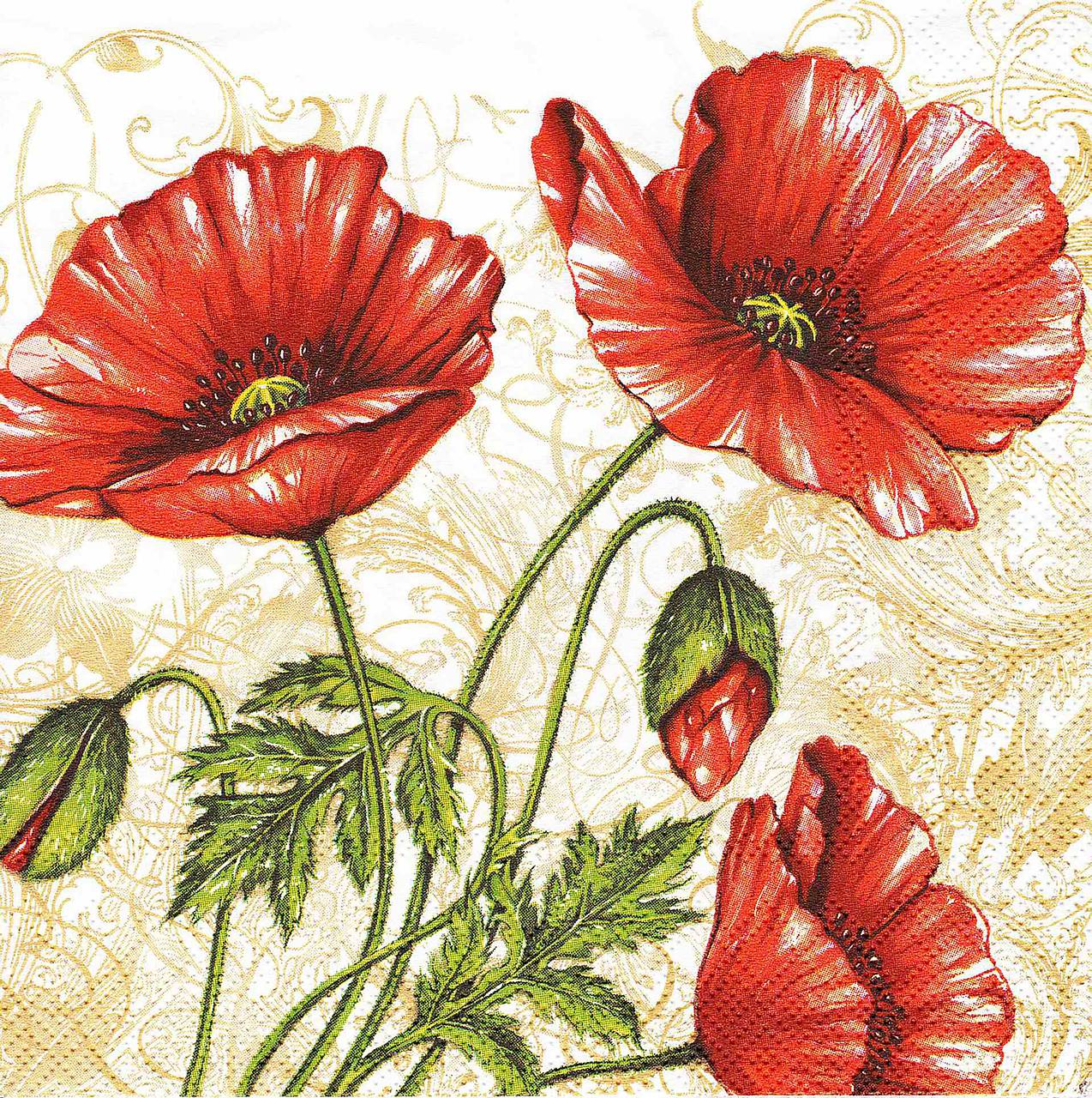 Kvety - divé maky / iwa-grafik - SAShE.sk