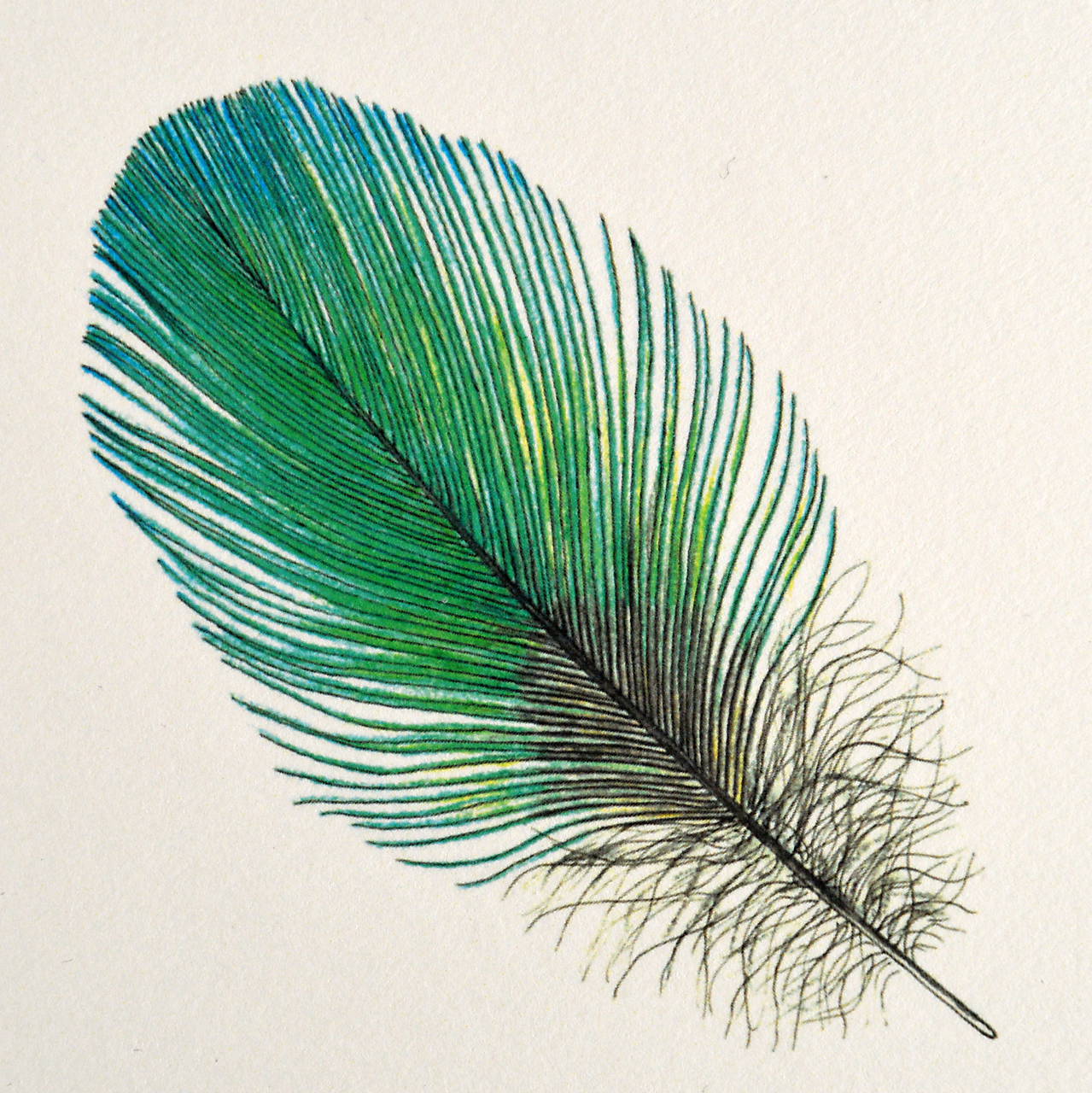 Zelené pierko / TELLA - SAShE.sk