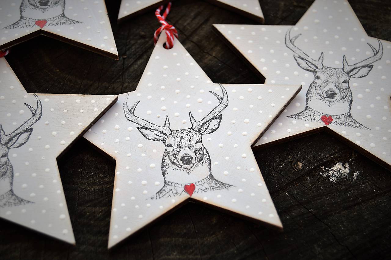 Sob Rudolf na hviezde / Danao - SAShE.sk