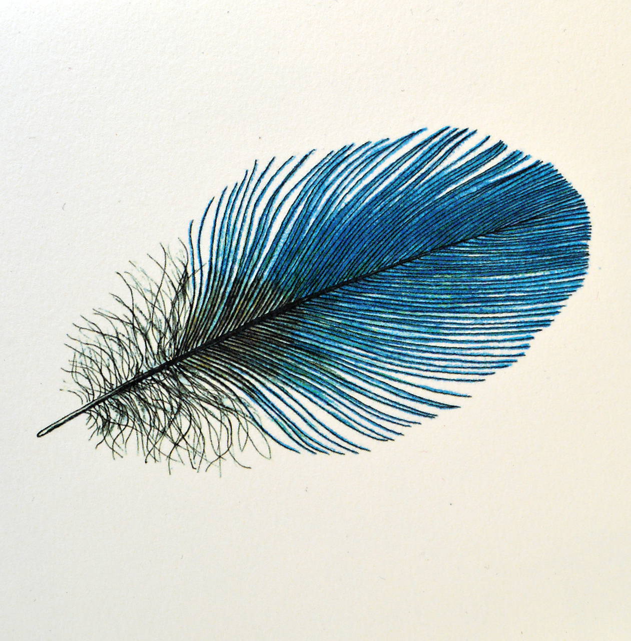 Modré pierko / TELLA - SAShE.sk