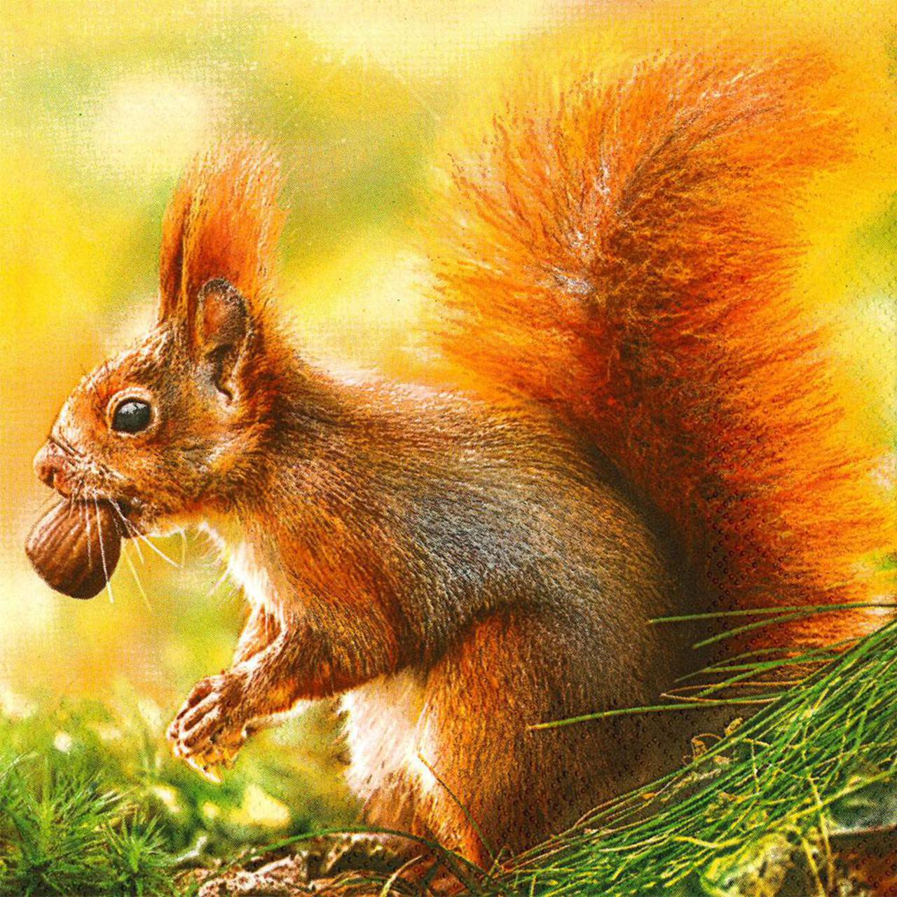 Servítka Veverička / ArtSheep - SAShE.sk