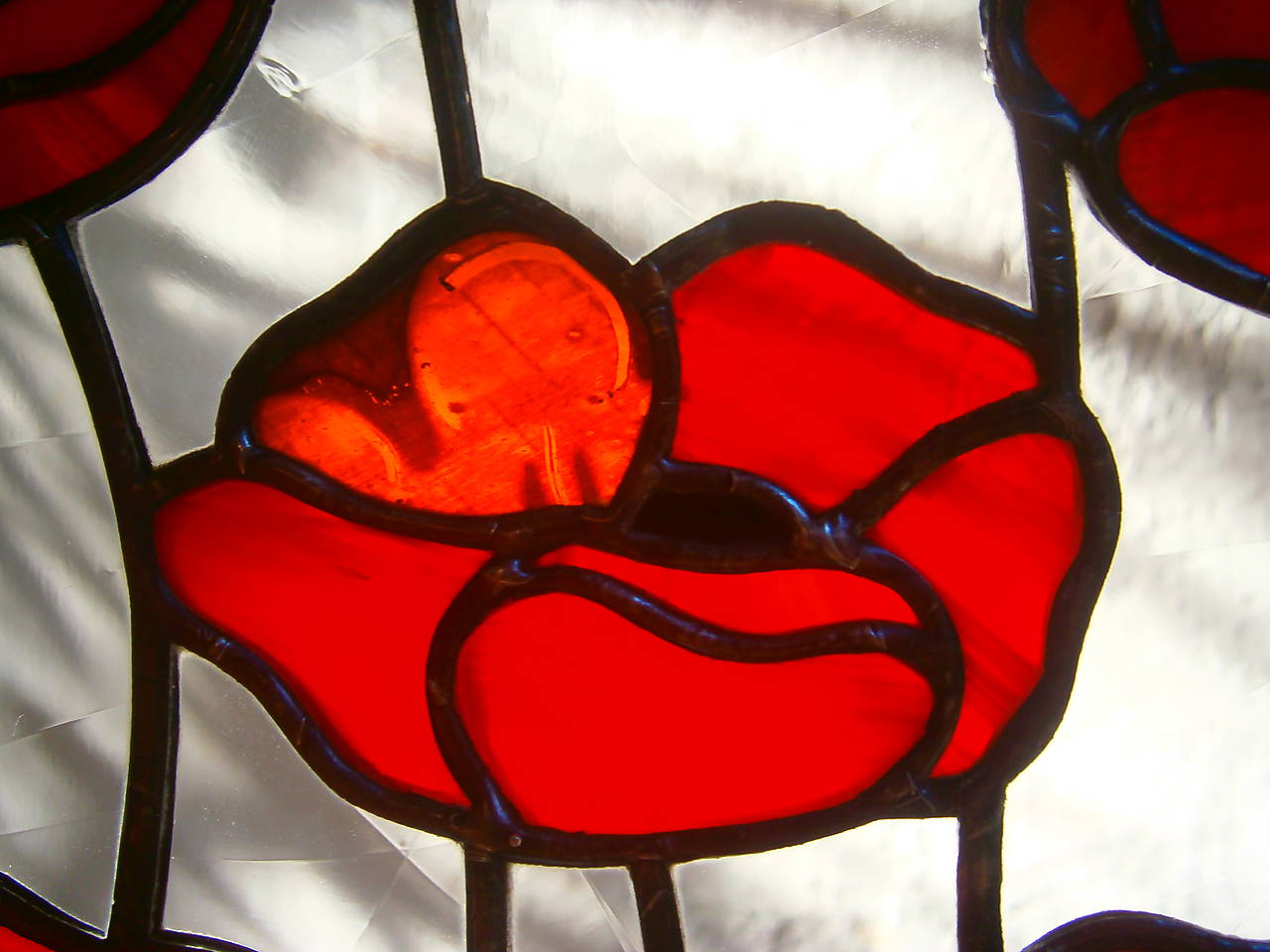 Lapač slnka - maky / DiDiArt - SAShE.sk