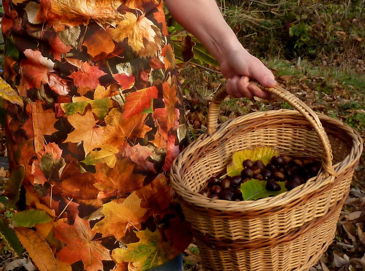 Zásterka jesenné lístie / SlovAB - SAShE.sk