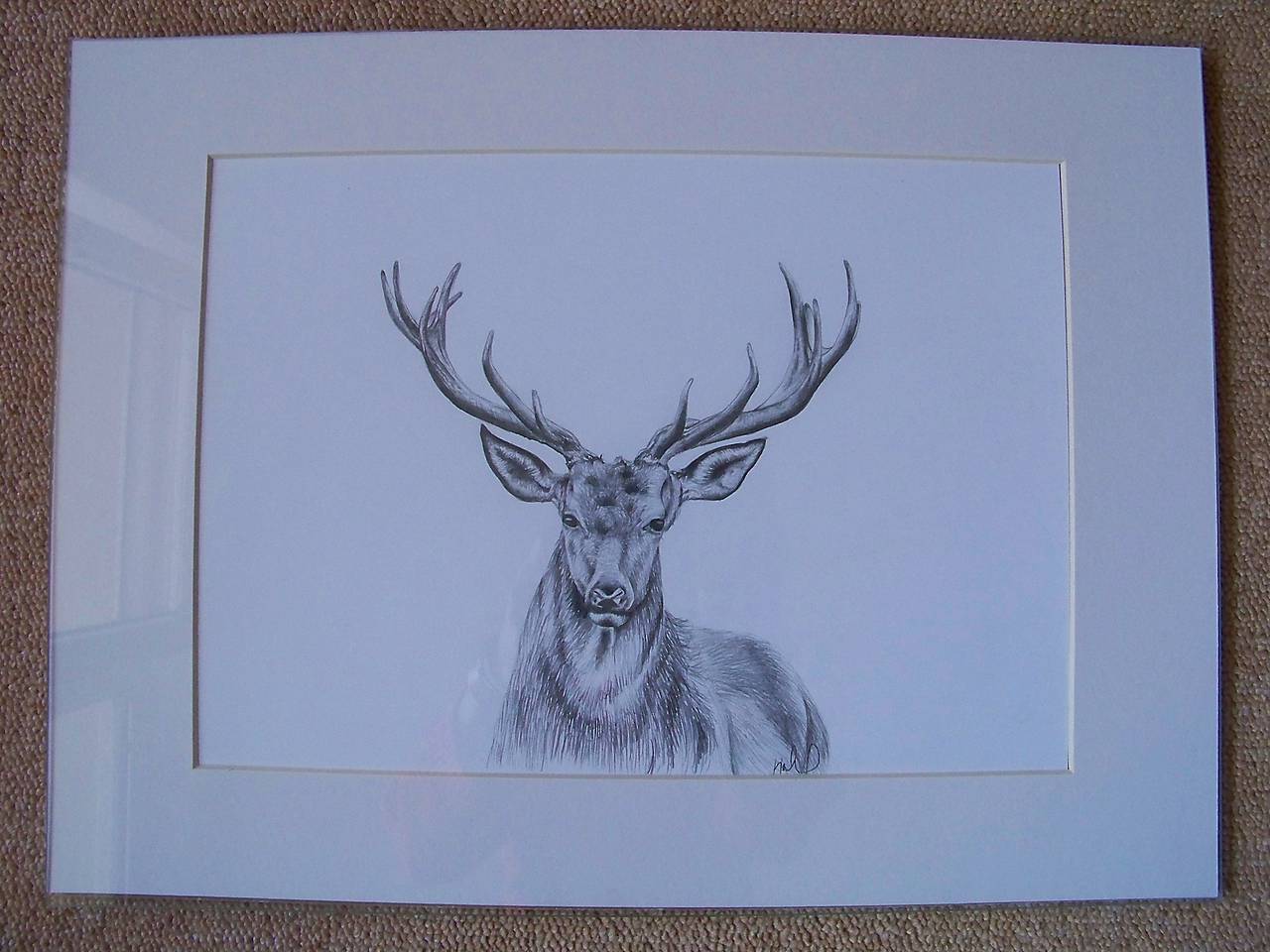 Kresba: Jeleň / Lesaum - SAShE.sk