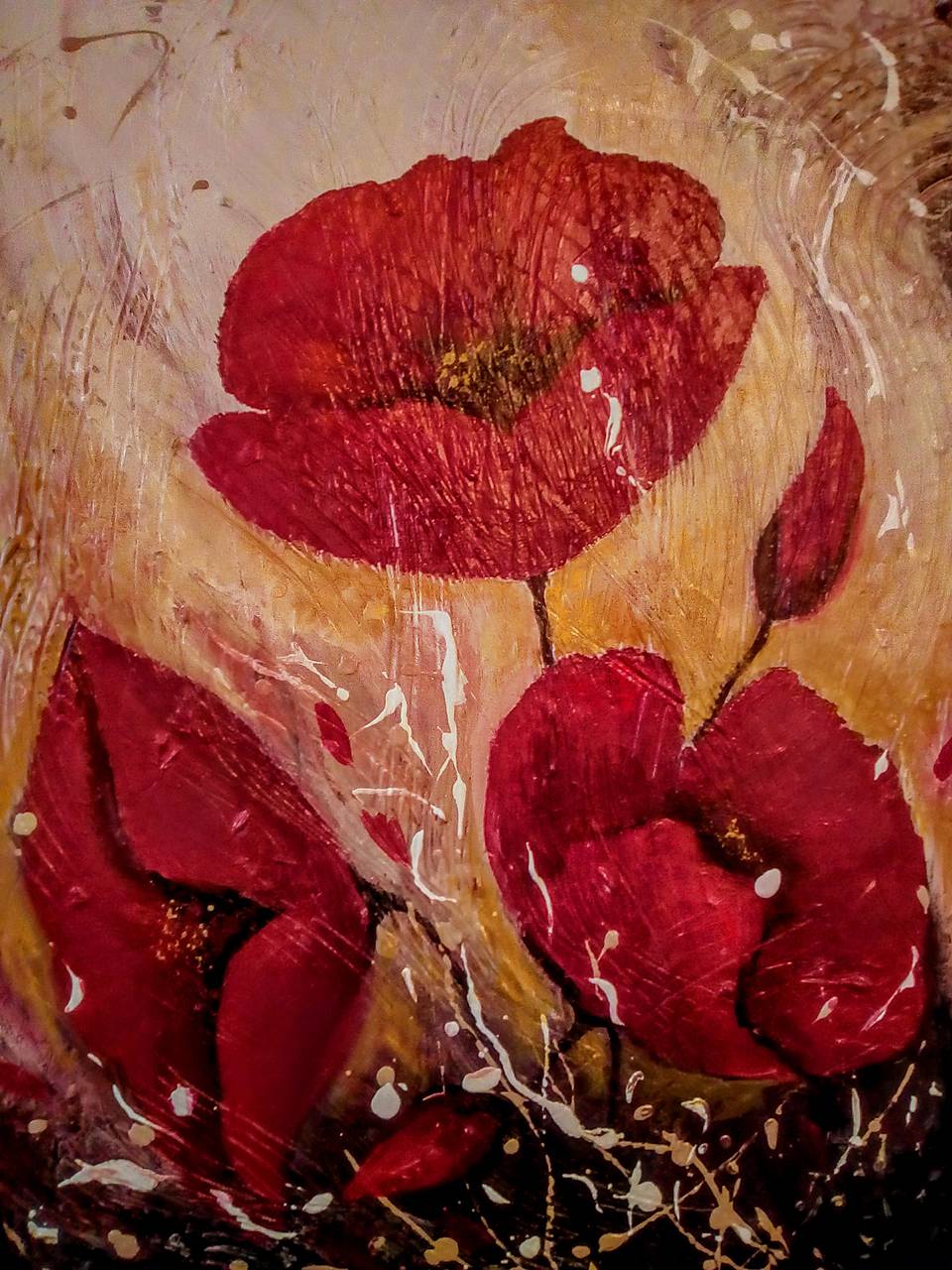 Divé maky / Zuzkabiro - SAShE.sk