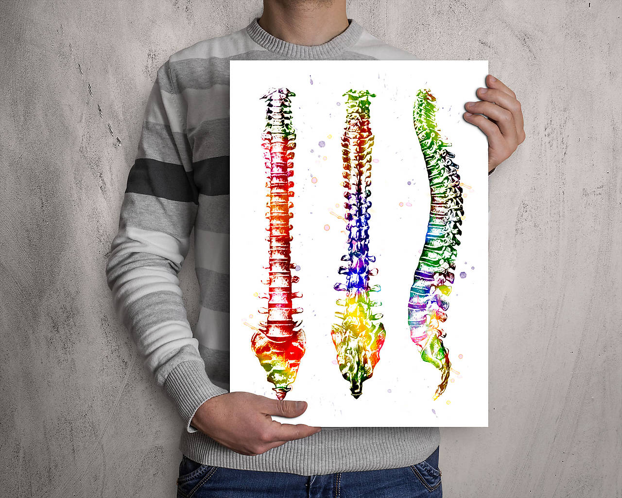 Anatómia chrbtice / Artchi - SAShE.sk