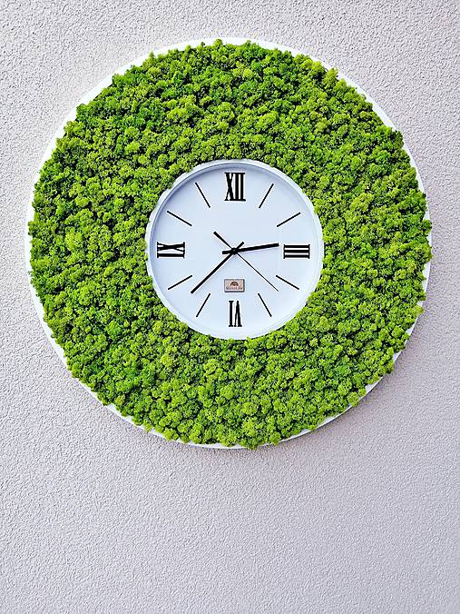 Machové hodiny (Moss Clock) (80cm) / MossLife - SAShE.sk