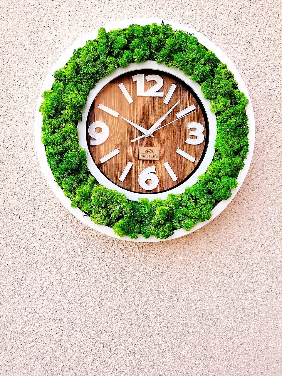 Machové hodiny (Moss Clock) (80cm) / MossLife - SAShE.sk