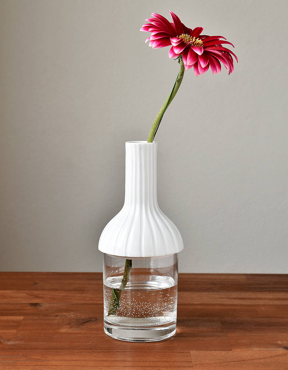 Porcelain/glass / sarkasdesign - SAShE.sk