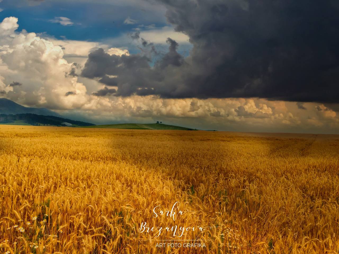 LIPTOV fotoplátno 60x40cm (C) / SarkaBrezanyova - SAShE.sk