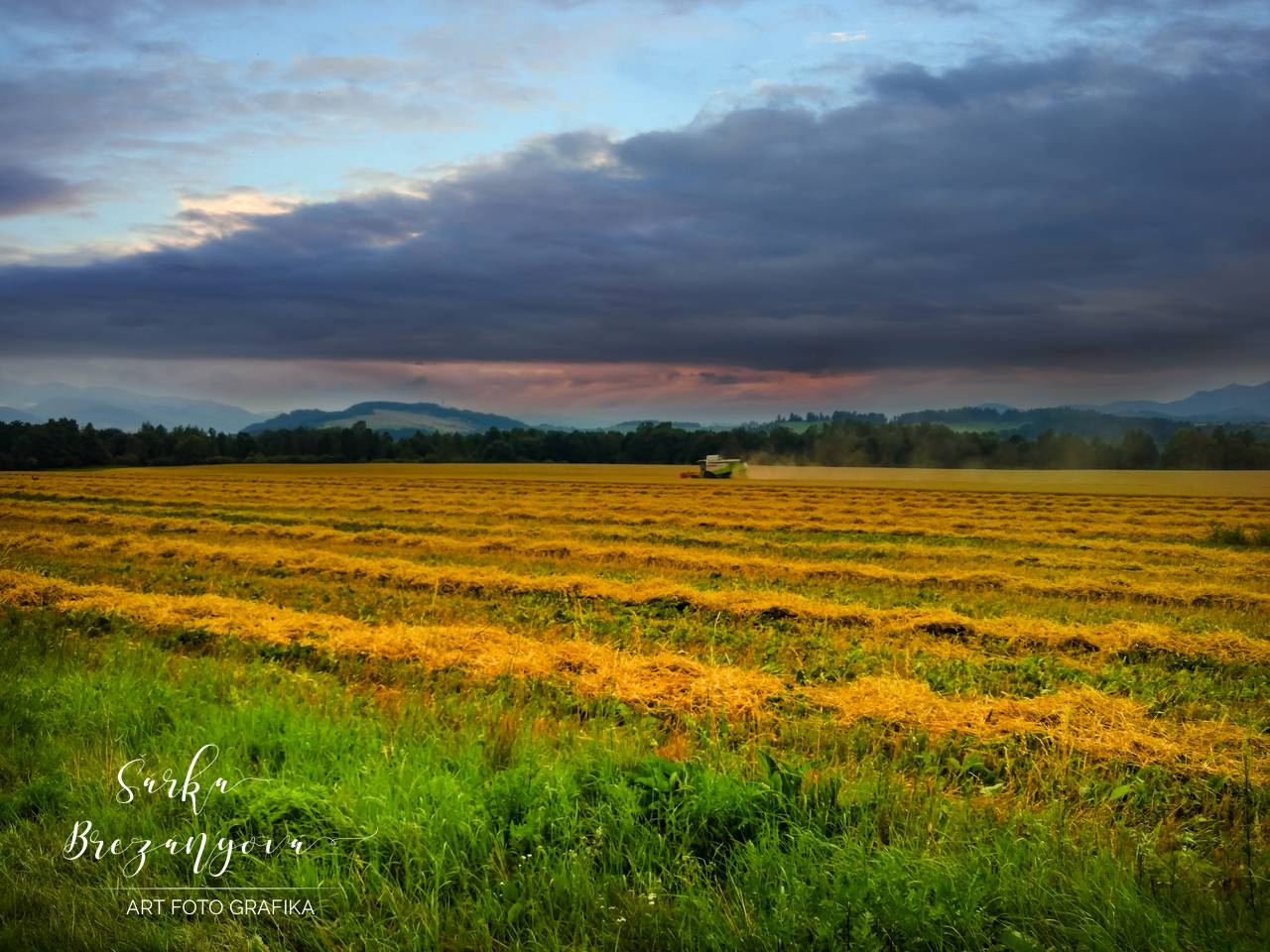 LIPTOV fotoplátno 60x40cm (D) / SarkaBrezanyova - SAShE.sk
