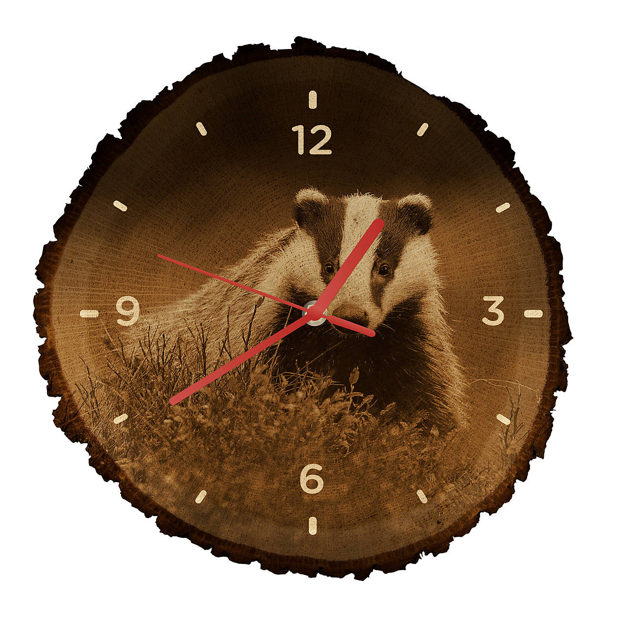 Drevené hodiny Jazvec lesný (Čierne ručičky) / royalwatch - SAShE.sk