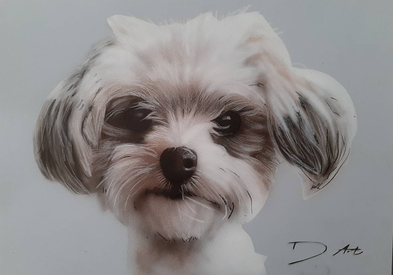 Psík (nakreslený) / D.Art - SAShE.sk