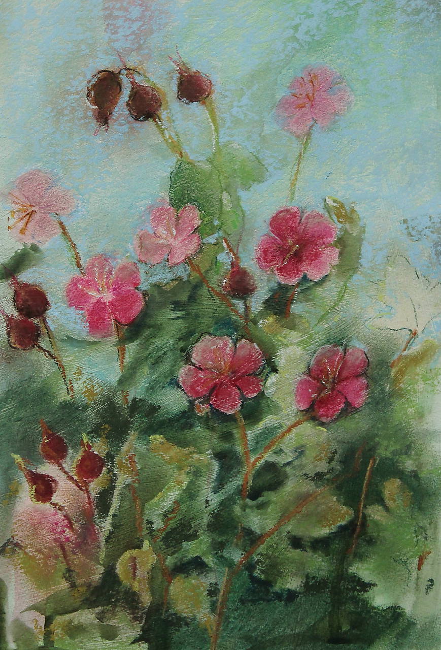 Ružový pakost / em-er-ka - SAShE.sk