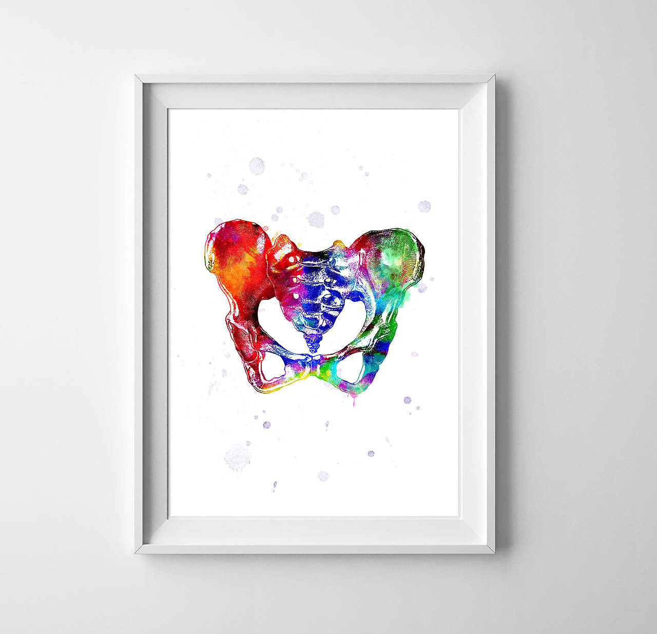 Anatómia panvy / Artchi - SAShE.sk