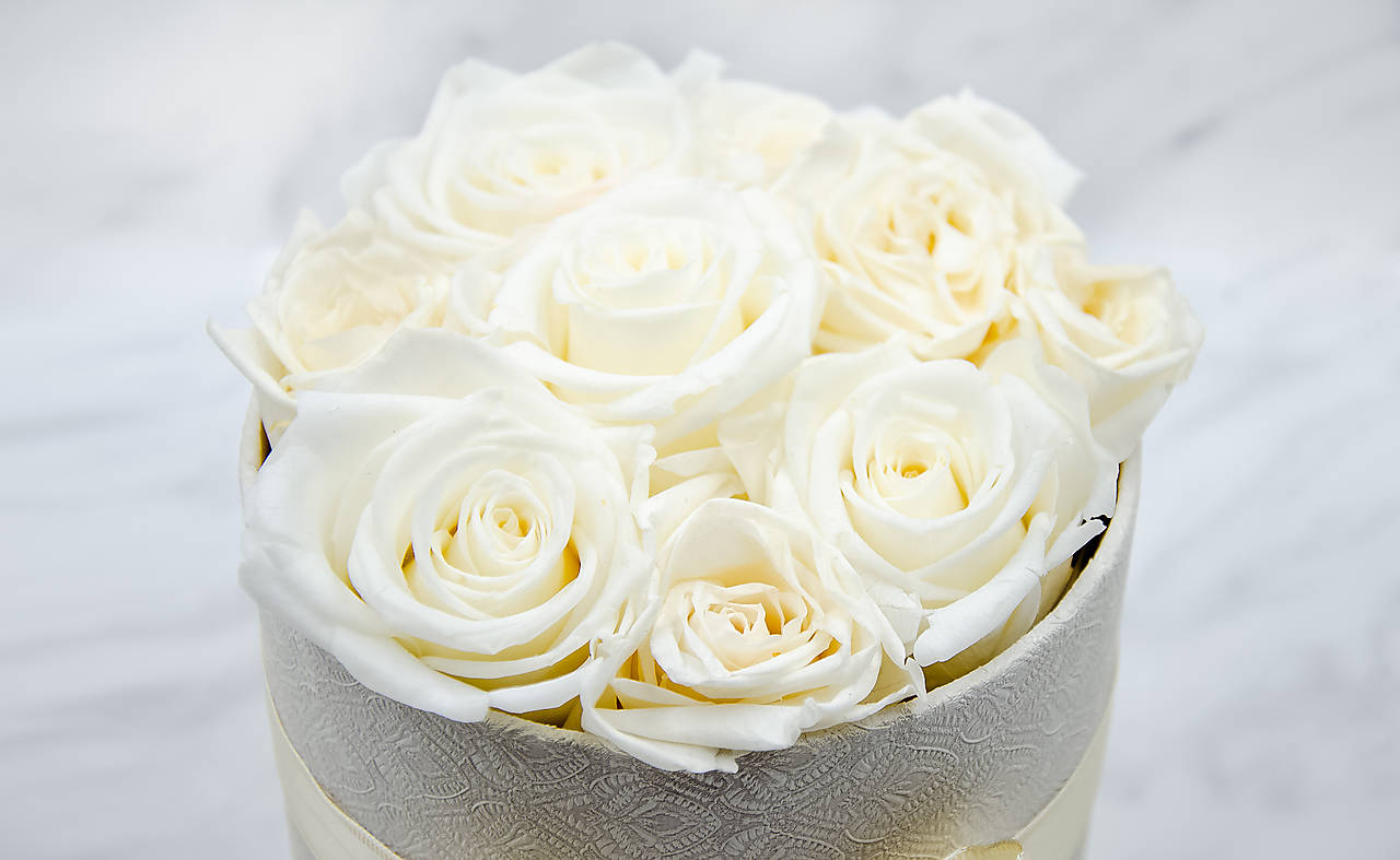 Eternal Rose Flower box (Eternal Rose Flower box Ivory) / floranatura ...