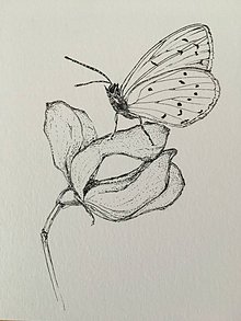 Handmade kresby / SAShE.sk