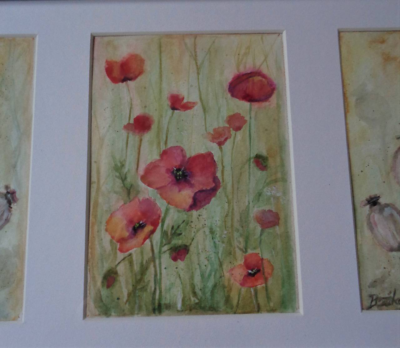 Makovice, maky...akvarel / GabryElla - SAShE.sk