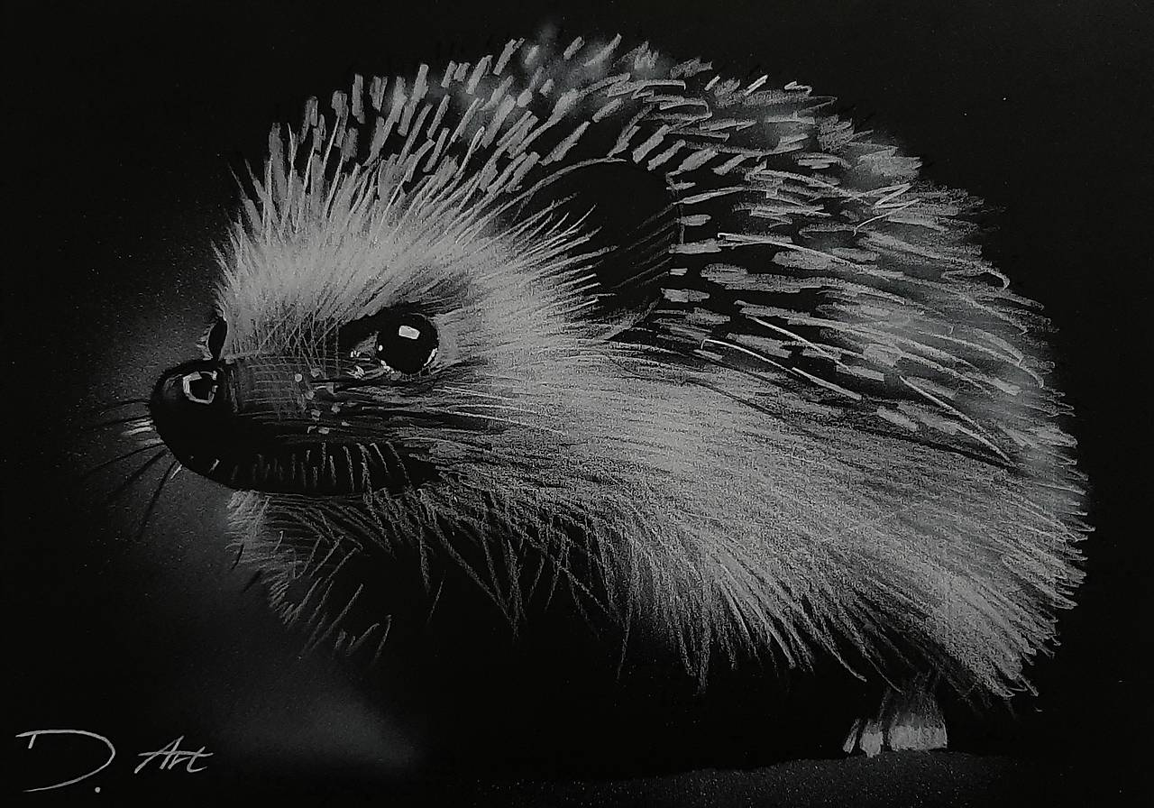 Ježko - kresba (s videom vzniku) / D.Art - SAShE.sk