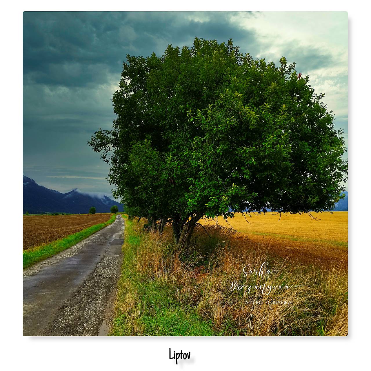 LIPTOV 2 leto 2020/ fotoplátno 60x60 cm / SarkaBrezanyova - SAShE.sk