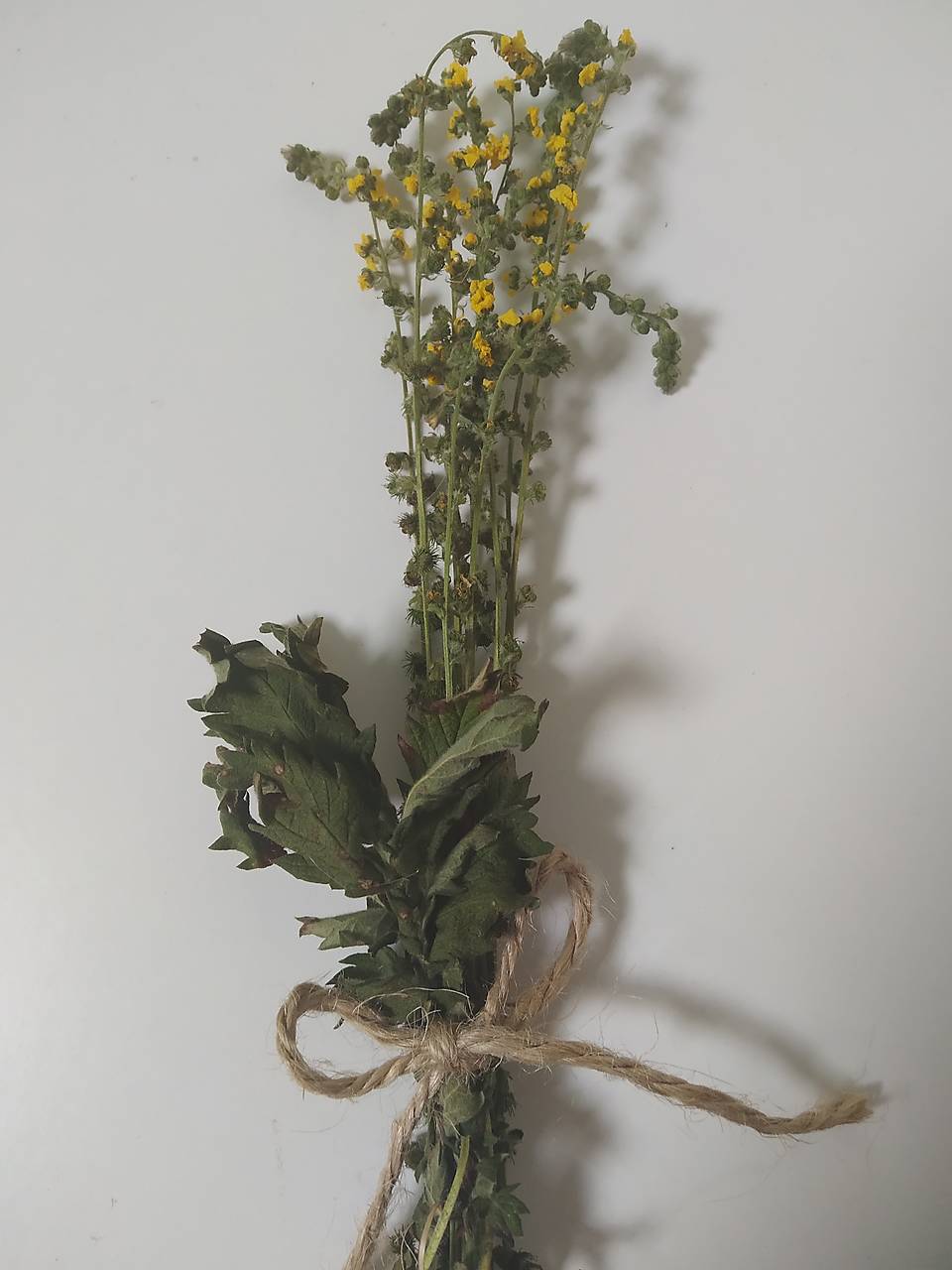 Repík lekársky - sušený čaj v kytičke / Vcelickyeu - SAShE.sk