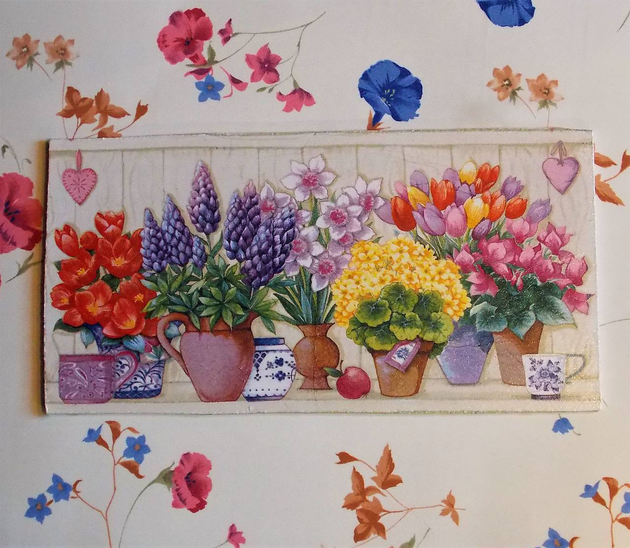 Obrázok Záhradné kvety / Anjeliky - SAShE.sk