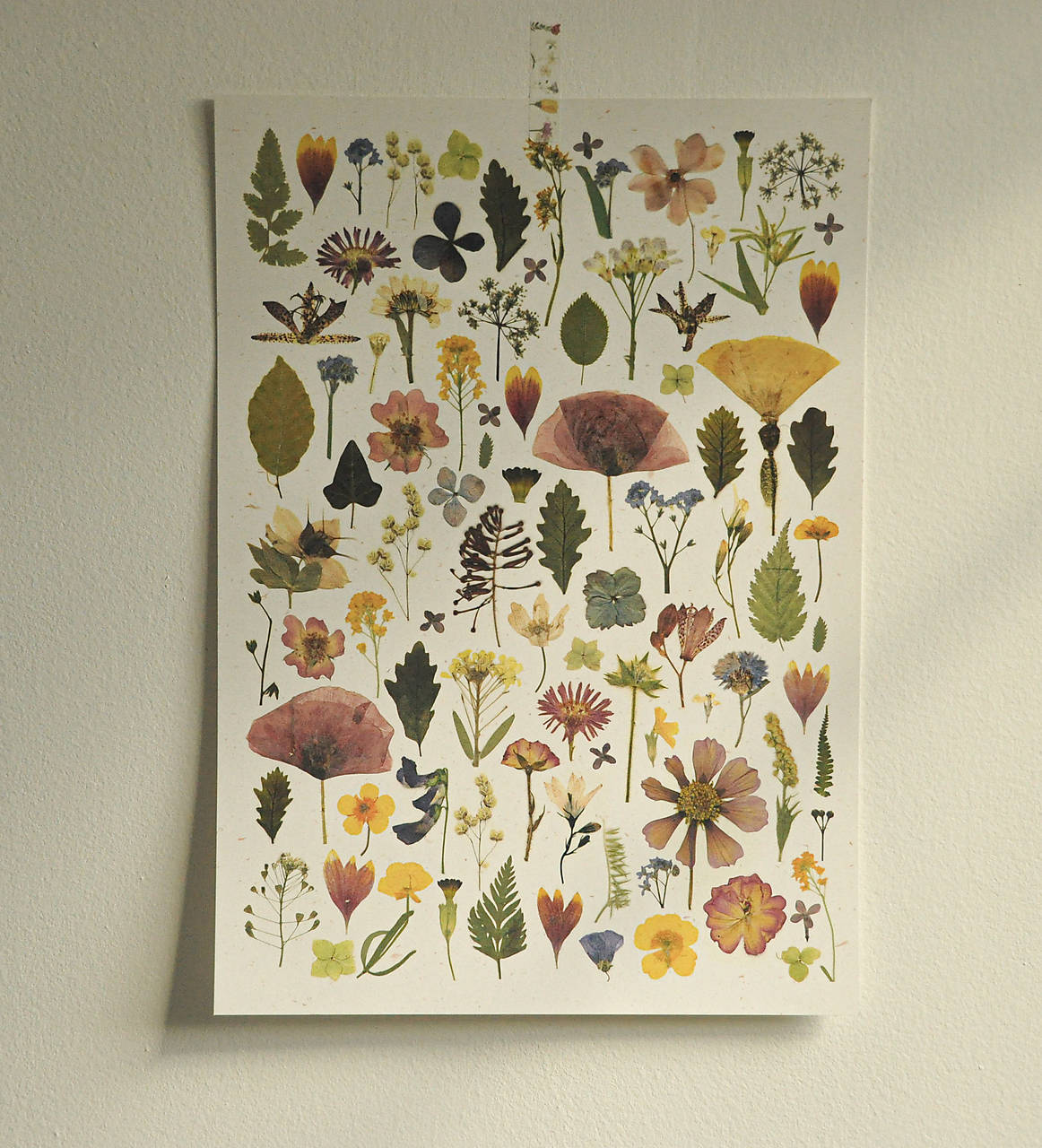 Obrázok A3 Kvety / sq_stationery - SAShE.sk