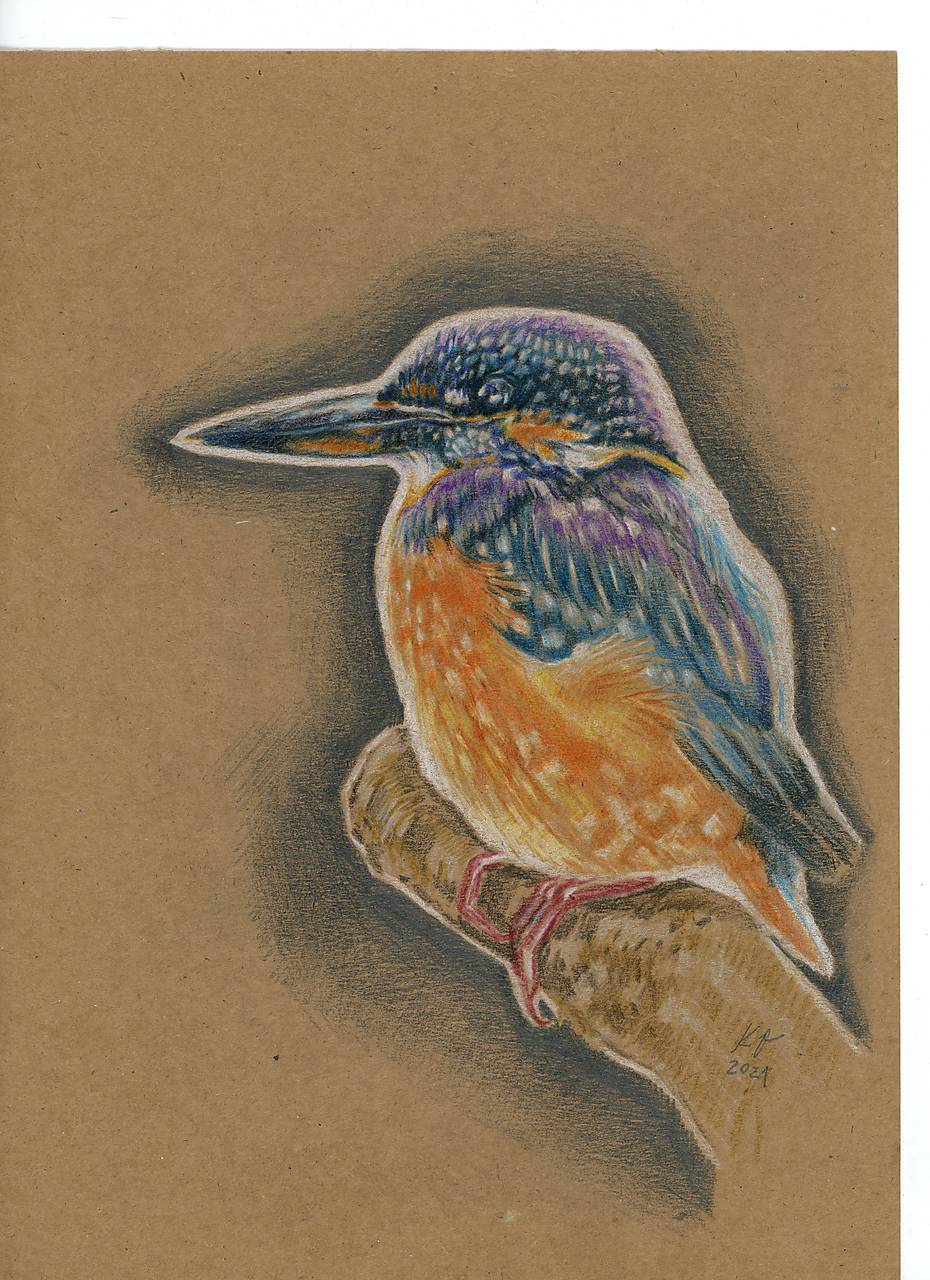 Rybárik III / kejtdraws - SAShE.sk