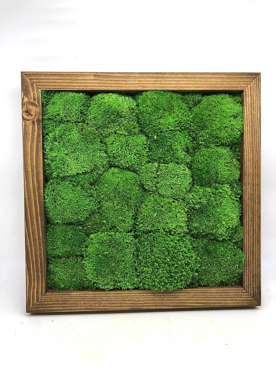 Machový obraz 25x25cm (Mach) / FlukoLand_official - SAShE.sk