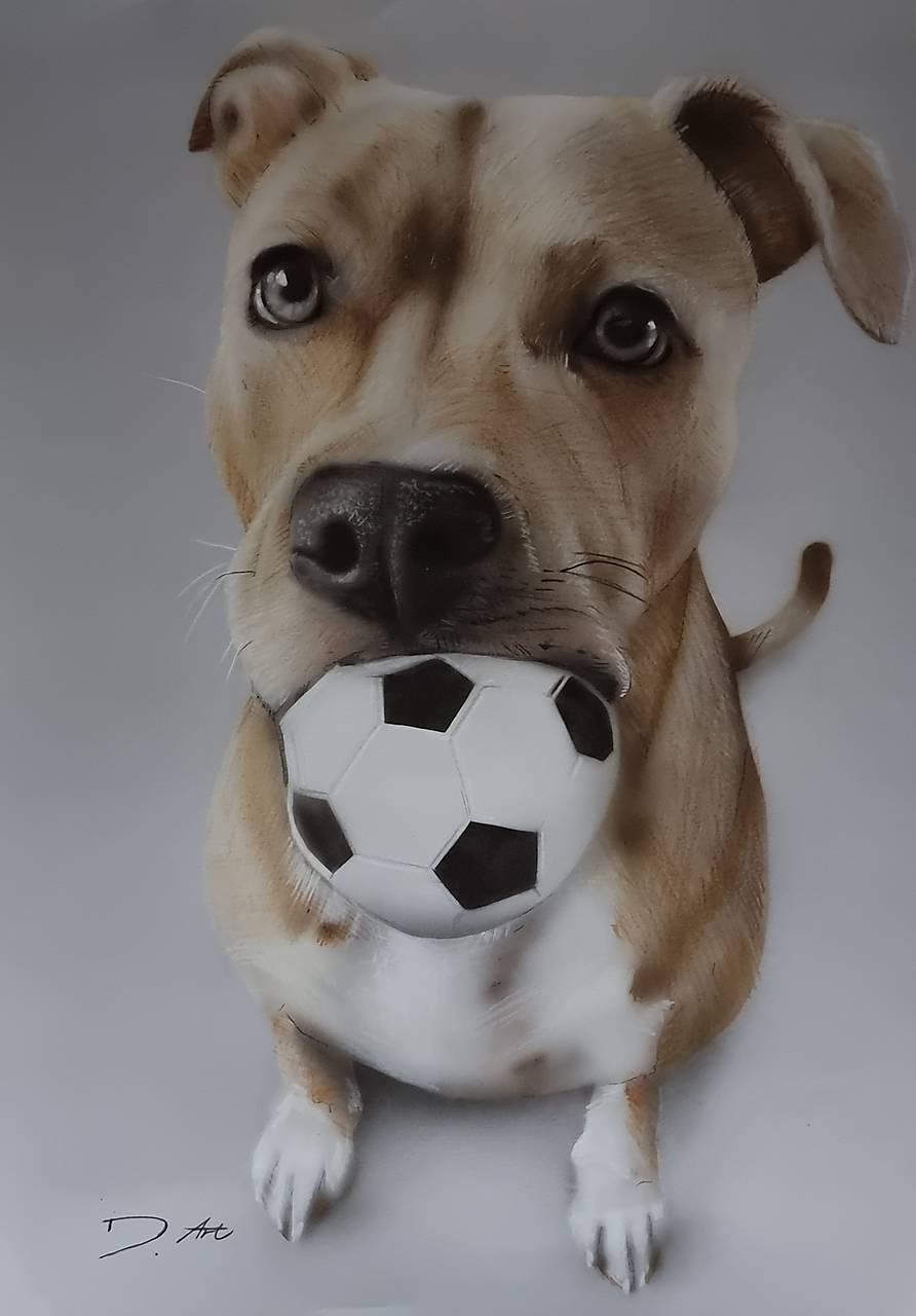 Nakreslené portréty psíkov / D.Art - SAShE.sk