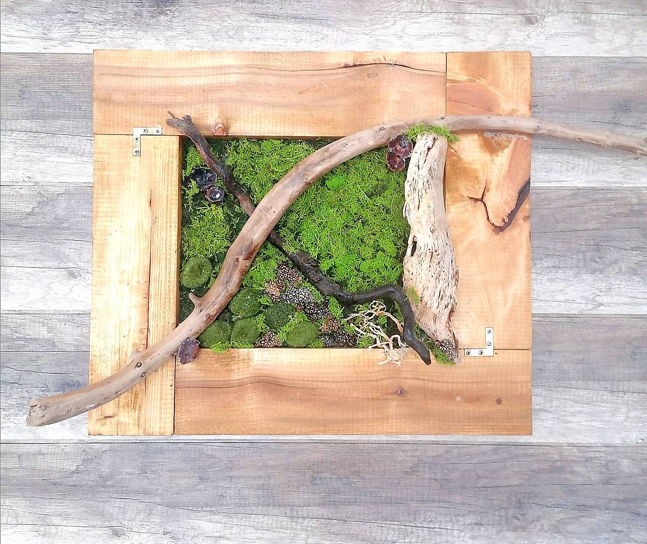 Machovy obraz / Lailinekvety - SAShE.sk