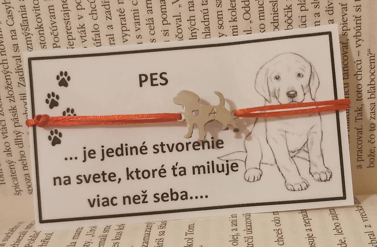Náramok pes / psík / labka / domáci miláčik (Pes s razbou (1 znak ...