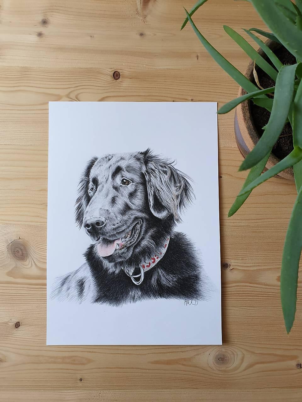 Kresba na zákazku Psík / Lesaum - SAShE.sk
