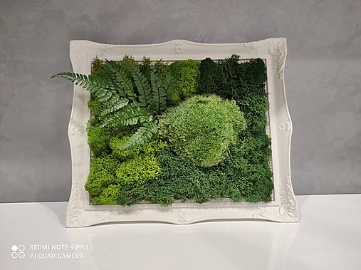 Machový obraz Mini / Mach_Dekor - SAShE.sk