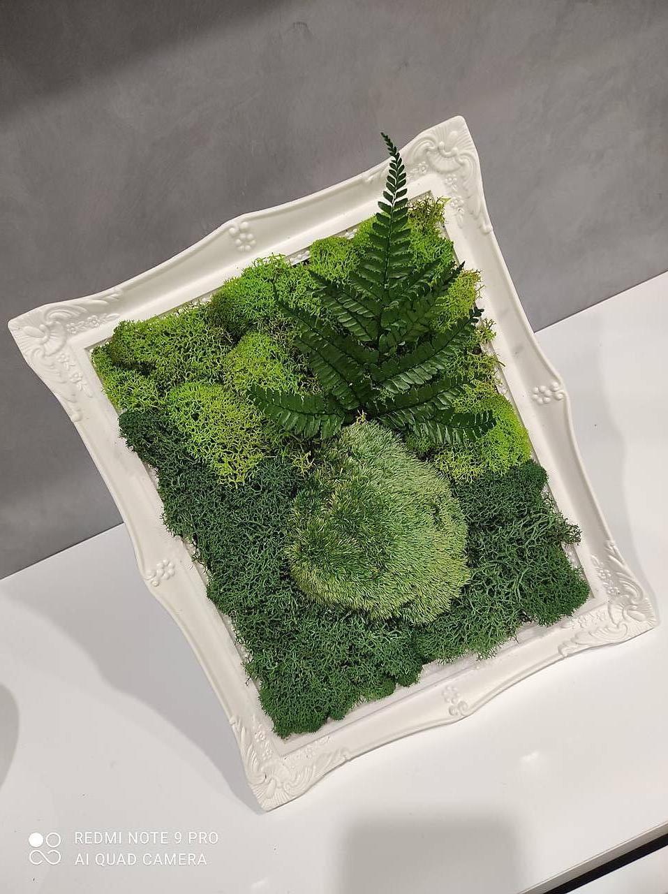 Machový obraz Mini / Mach_Dekor - SAShE.sk