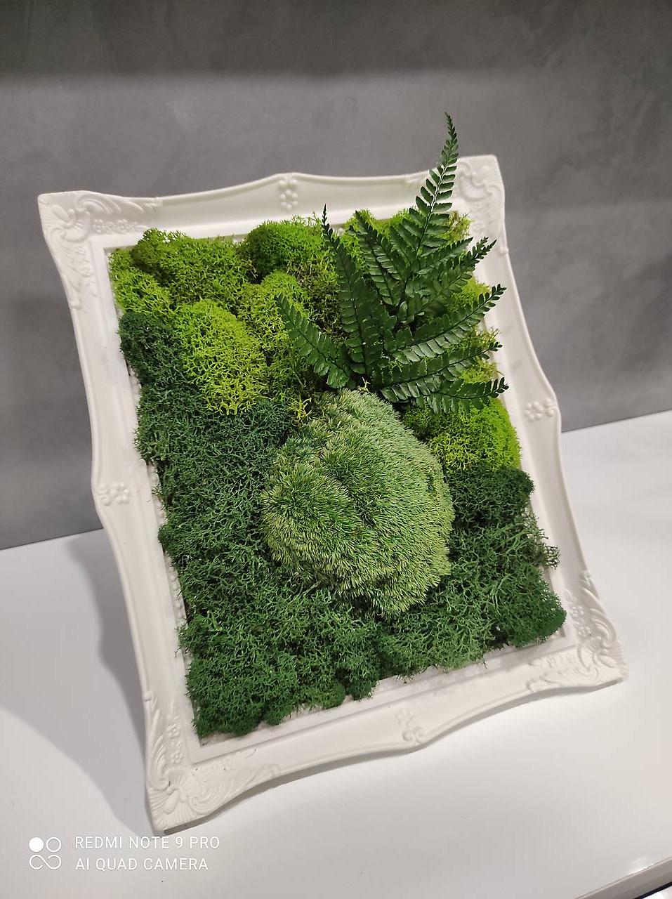 Machový obraz Mini / Mach_Dekor - SAShE.sk