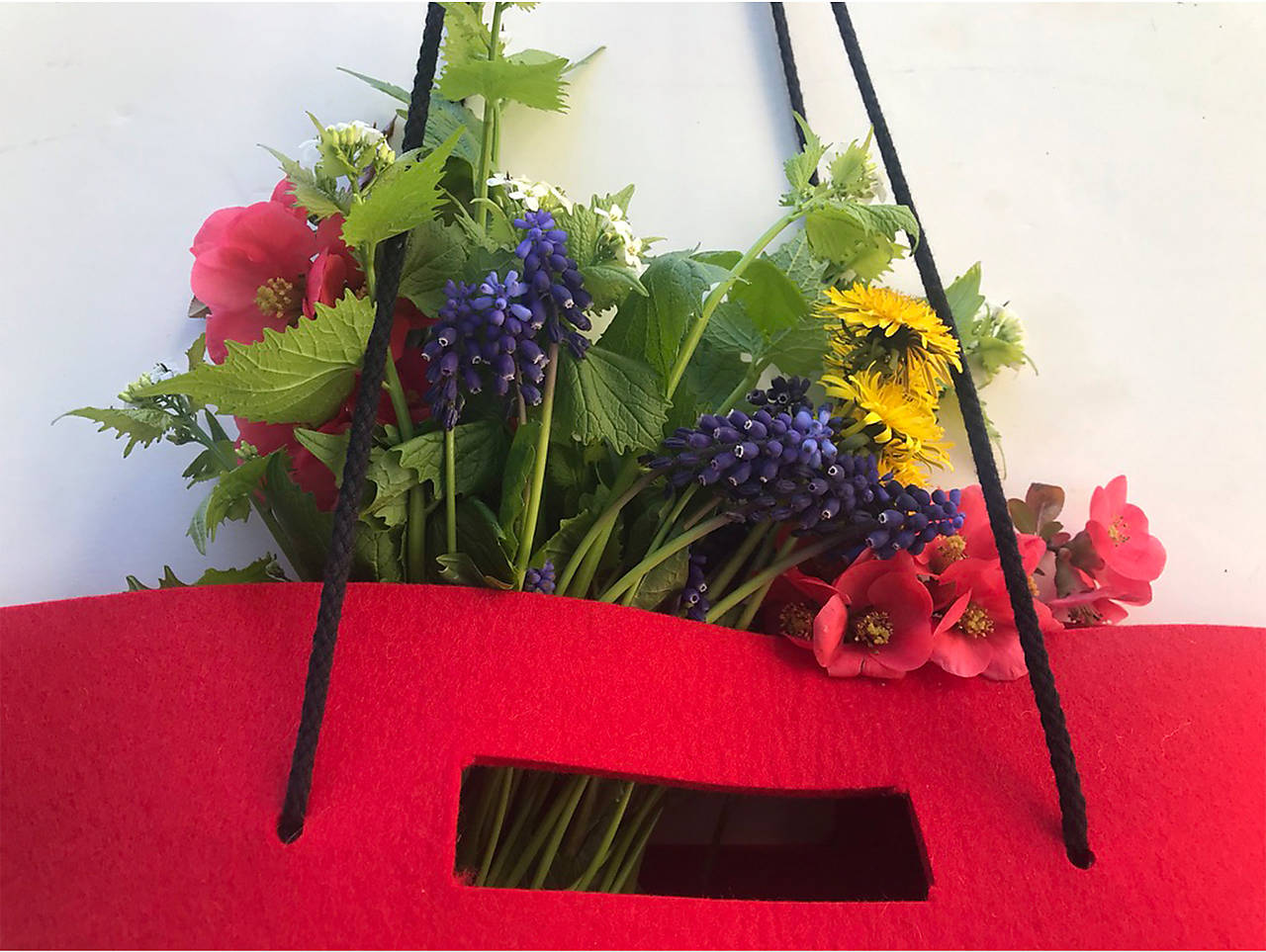 KOZA praktická taška do ruky aj na plece :) (Červená) / sona-design ...