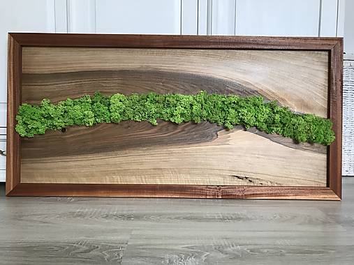 Machovy obraz / WOODHARD - SAShE.sk