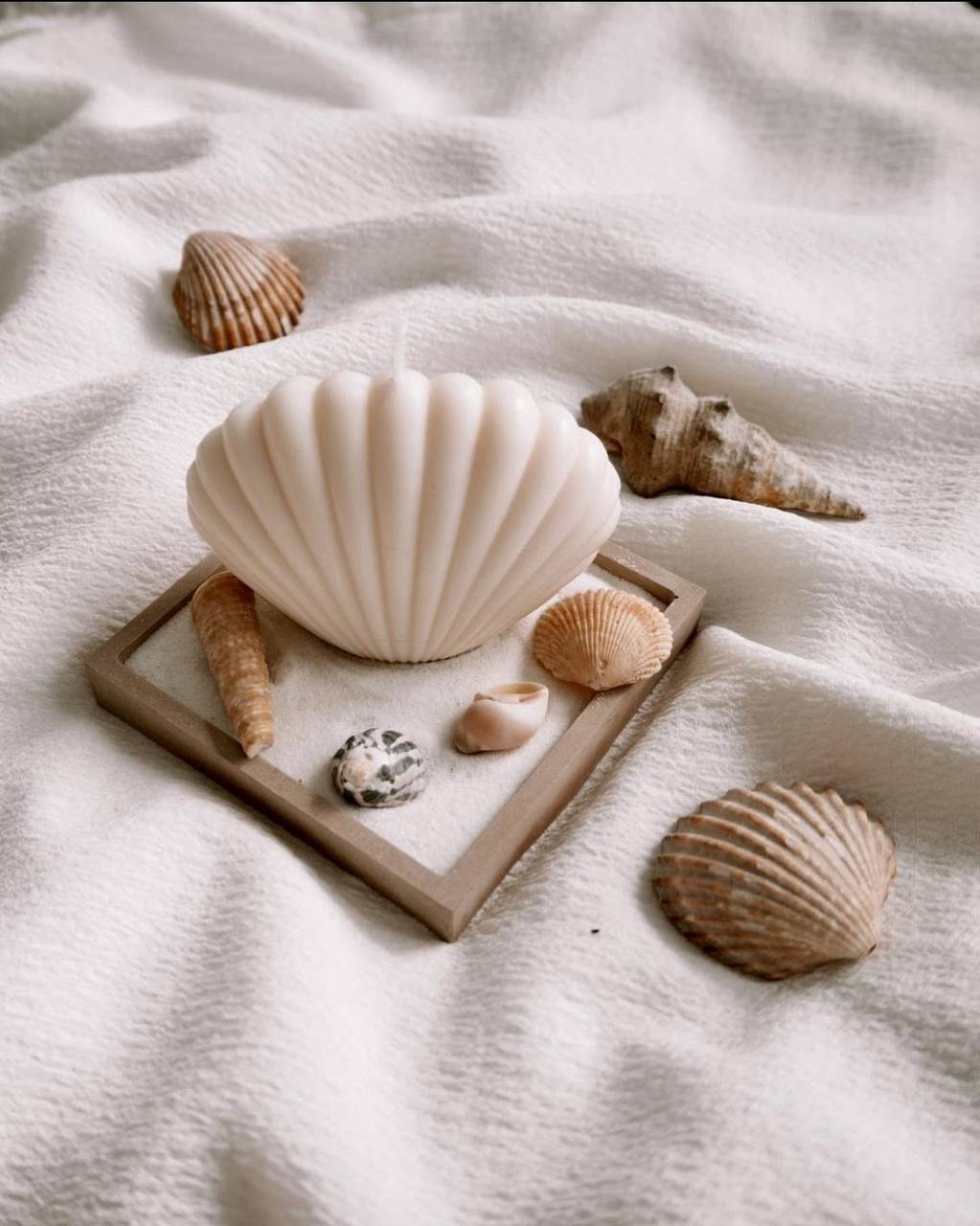 Sójová sviečka - Mušľa (s farbou - žltá, medová, oranžová, červená ...