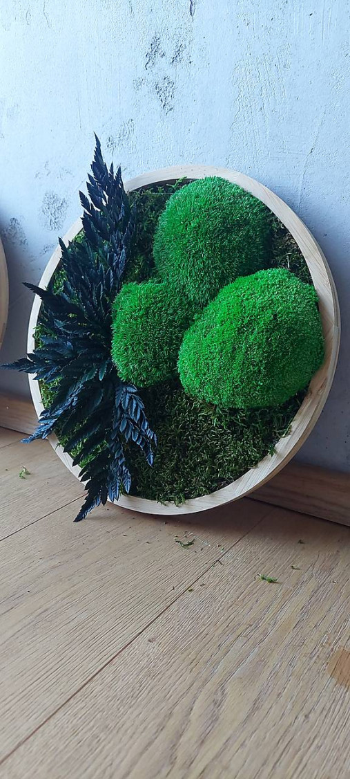 Machovy obraz dubovy rám / Pemoss - SAShE.sk