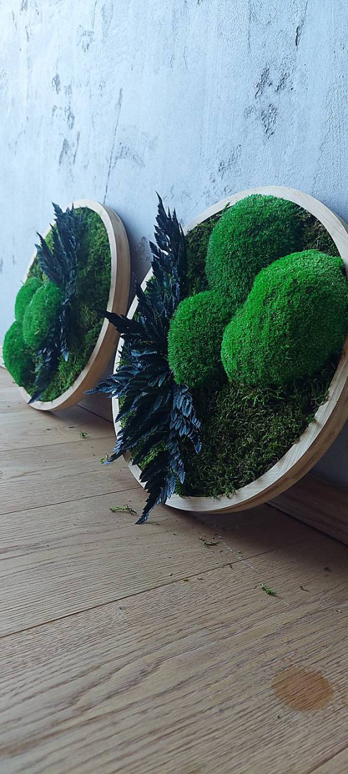 Machovy obraz dubovy rám / Pemoss - SAShE.sk