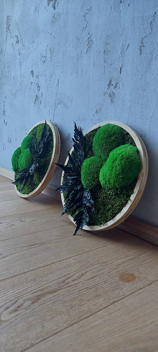 Machovy obraz dubovy rám / Pemoss - SAShE.sk