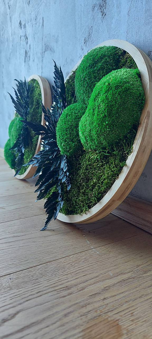 Machovy obraz dubovy rám / Pemoss - SAShE.sk