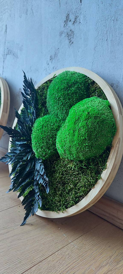 Machovy obraz dubovy rám / Pemoss - SAShE.sk