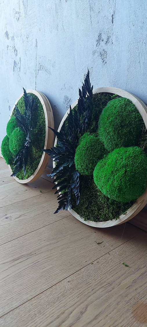 Machovy obraz dubovy rám / Pemoss - SAShE.sk