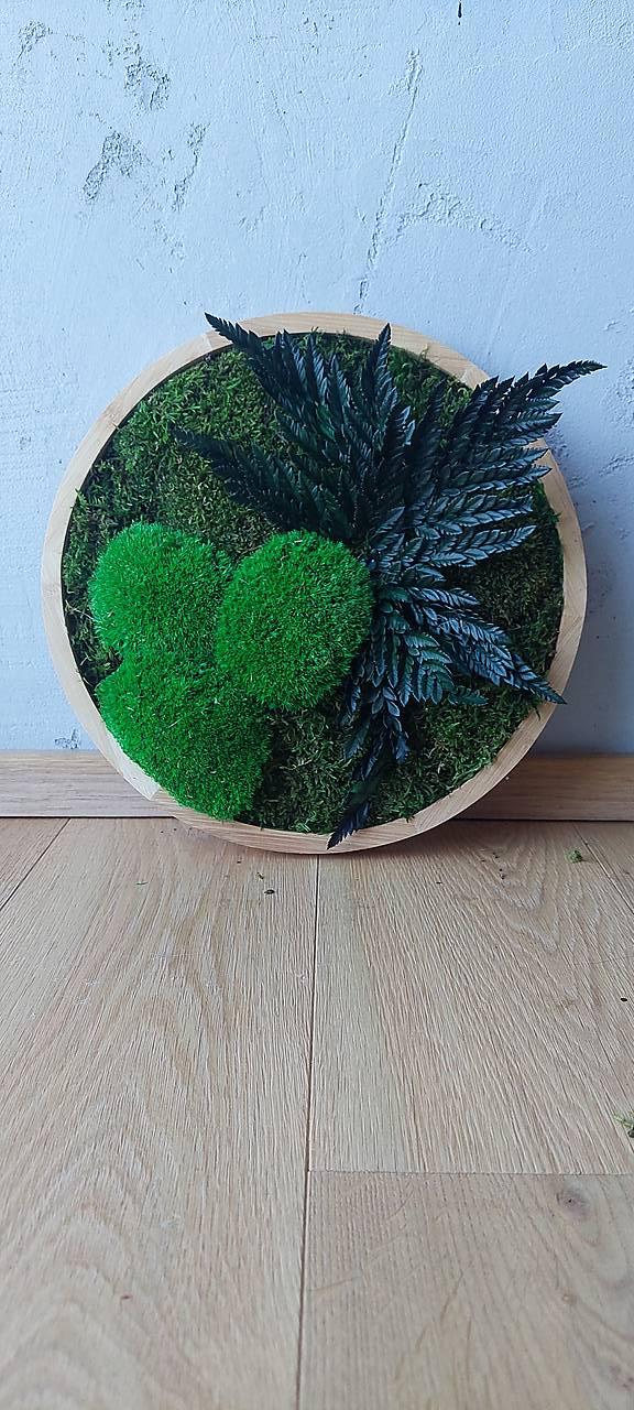 Machovy obraz dubovy rám / Pemoss - SAShE.sk