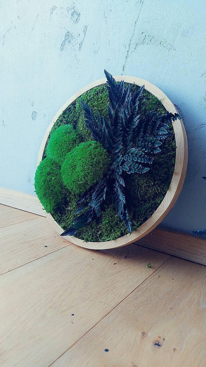 Machovy obraz dubovy rám / Pemoss - SAShE.sk