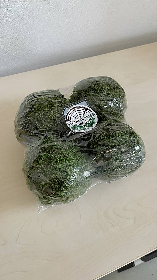 Machové gule Flatmoss 8-10 cm 4ks / woodmosseu - SAShE.sk