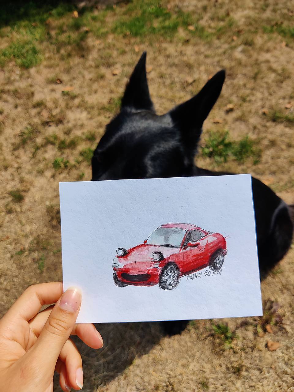 Obrázok - Derpy miata / ViktoriaCseryova - SAShE.sk